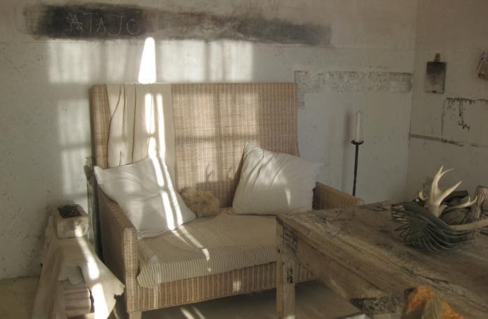 DAzulterrA: PATRICIA LARSEN IN BAJA