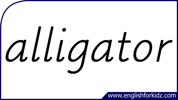 Wild Animals Flashcards