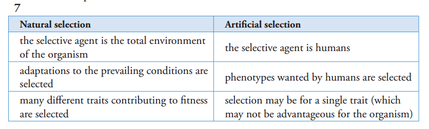 #143 Summary of Selection and Evolution | Biology Notes for A level