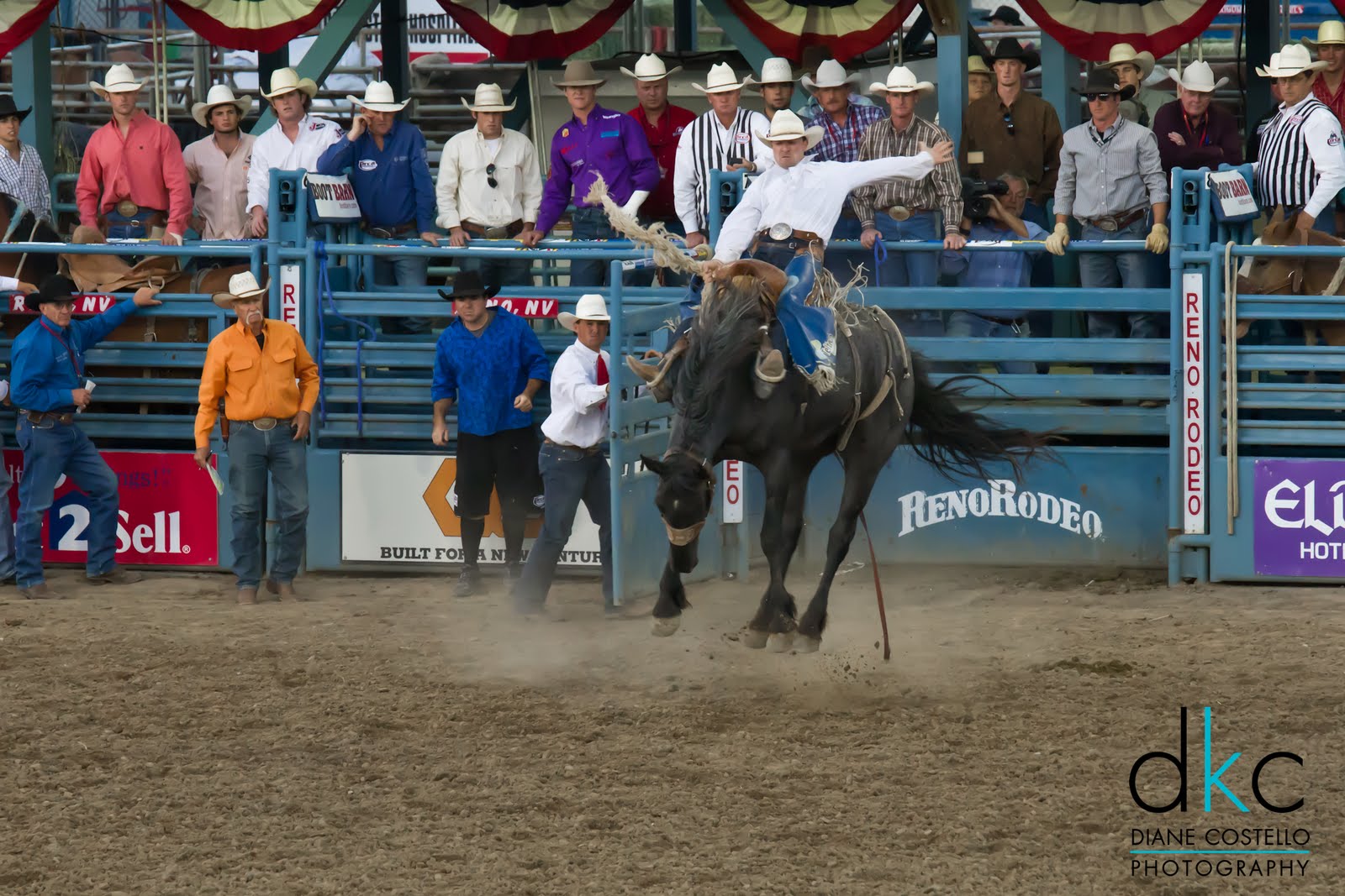 Diane K. Costello Photography: Reno Rodeo 2011