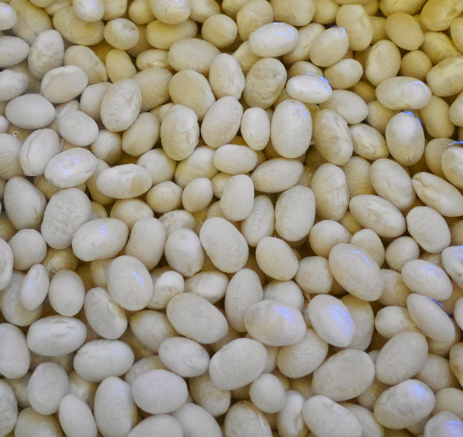 Foods For Long Life: Marrow Beans With Lemon And RosemaryFast Cooking ...