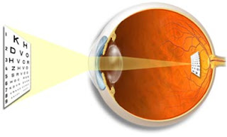 Anatomi Sistem Penglihatan - Abhique