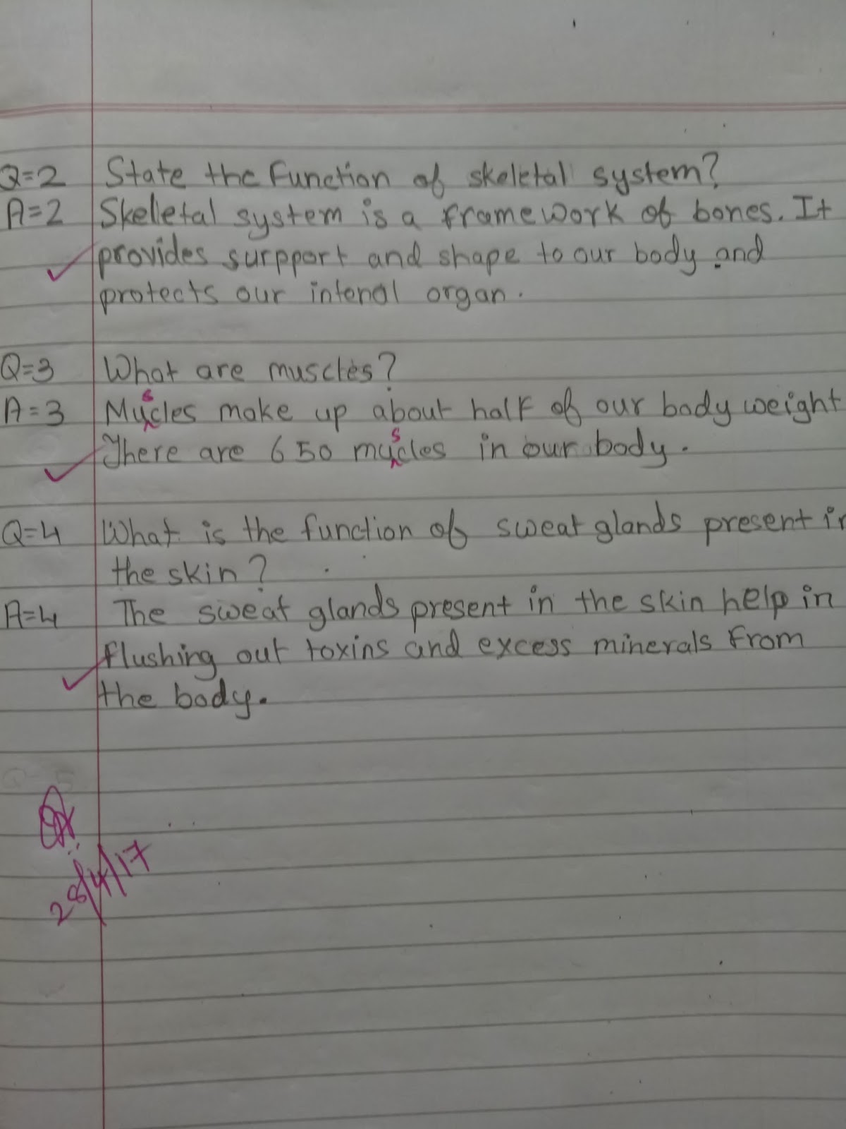 PIS VADODARA STD 4: EVS-HUMAN BODY SYSTEMS-- NOTEBOOK EXERCISE