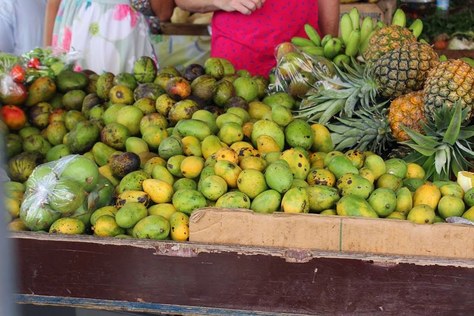 le manguier et la mangue