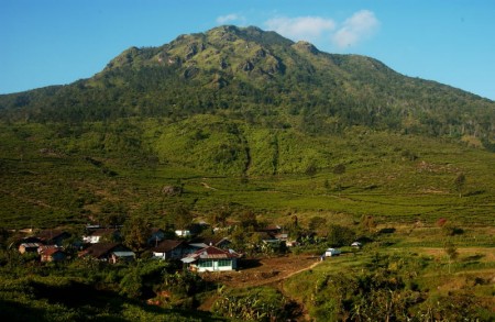 Nginceng Semarang: Jalur Pendakian Gunung Ungaran