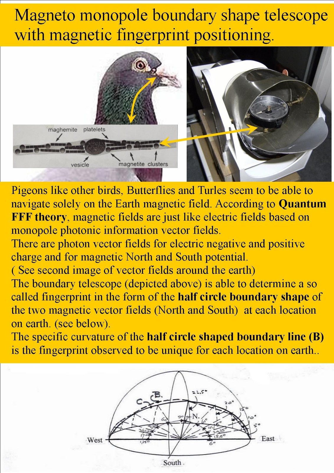 Quantum Function Follows FORM, (Q-FFF Theory) An Entangled Mirror ...