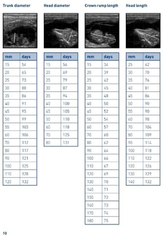 Ultrasonography (Usg) dan Aplikasinya Pada Pemeriksaan Organ Reproduksi ...