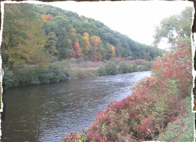 Western Reserve Chapter of Trout Unlimited: Clarion River Update