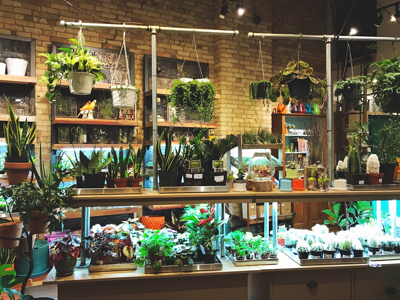 Planet Kelsey: Mod Gen