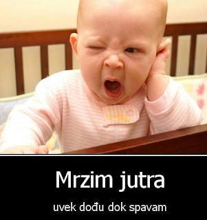 Najgluplje glupe smiješne stvari izreke anegdote aforizmi izjave i ...