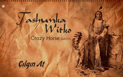 EL CAJON DE LOS CONOCIMIENTOS: TASHUNKA WITKO