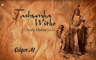 EL CAJON DE LOS CONOCIMIENTOS: TASHUNKA WITKO