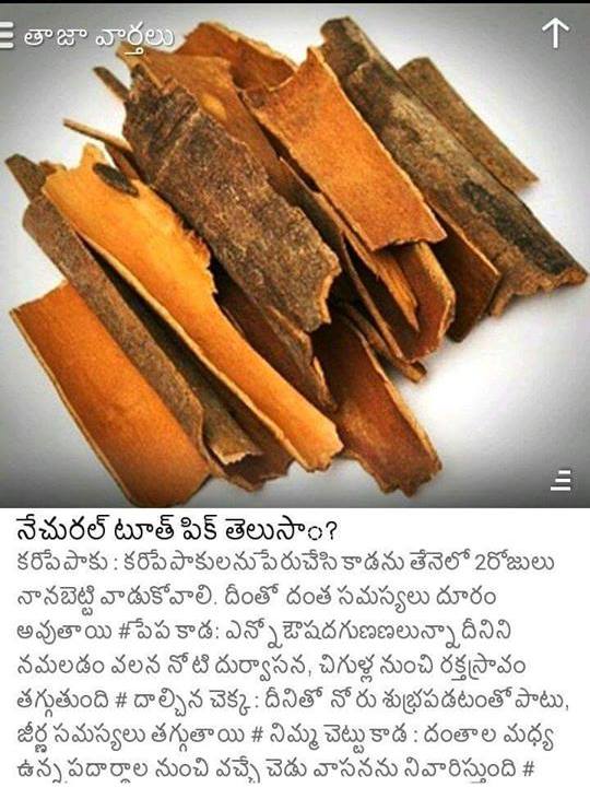 TELUGU WEB WORLD: DALCHI NATURAL TOOTH PIC