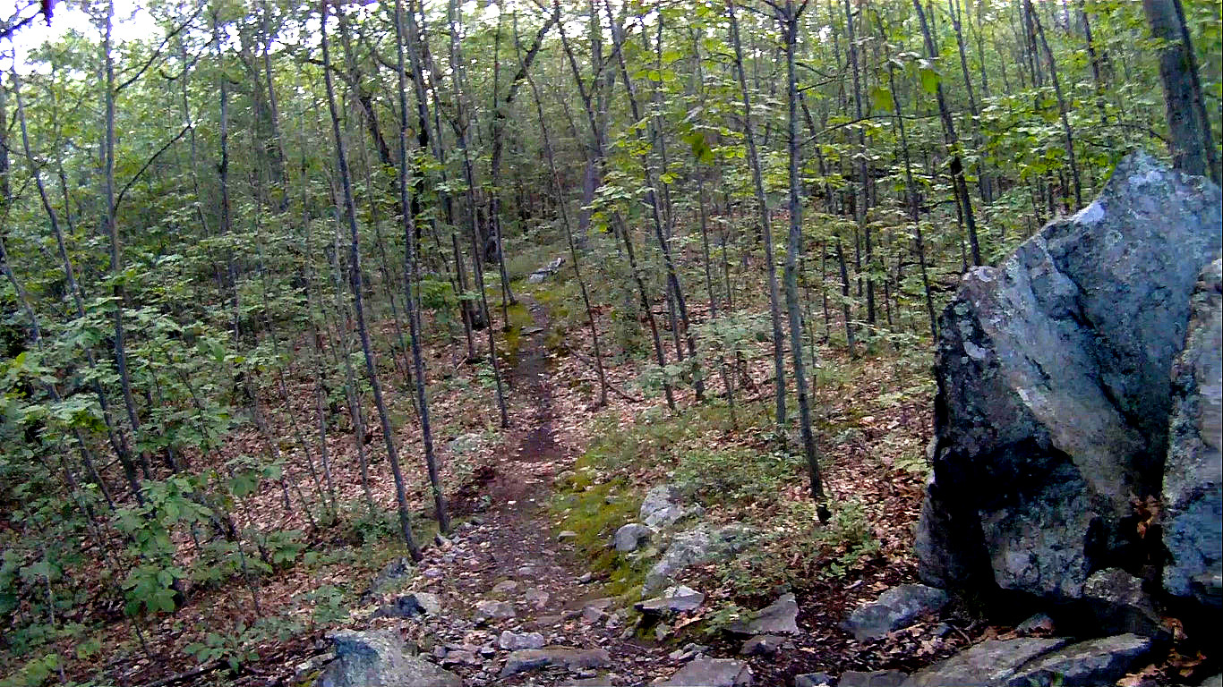 Nor'Easter Backcountry: Whipple Hill in Photos