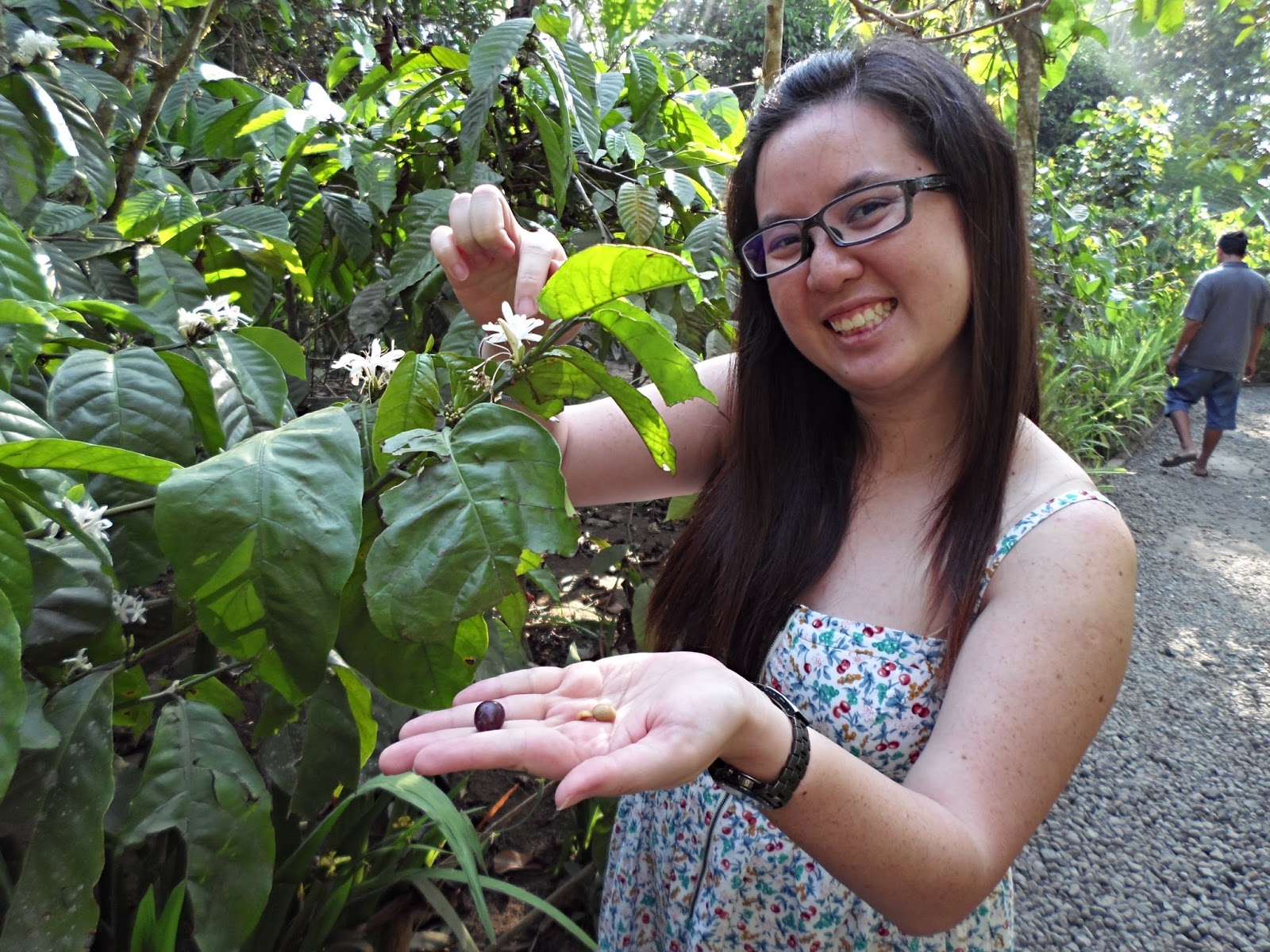 Food, Travel and Life: Satria Agrowisata, Bali - Tea and Coffee Tasting