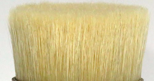 bristle for brush: The difference between wool brush and bristle brush