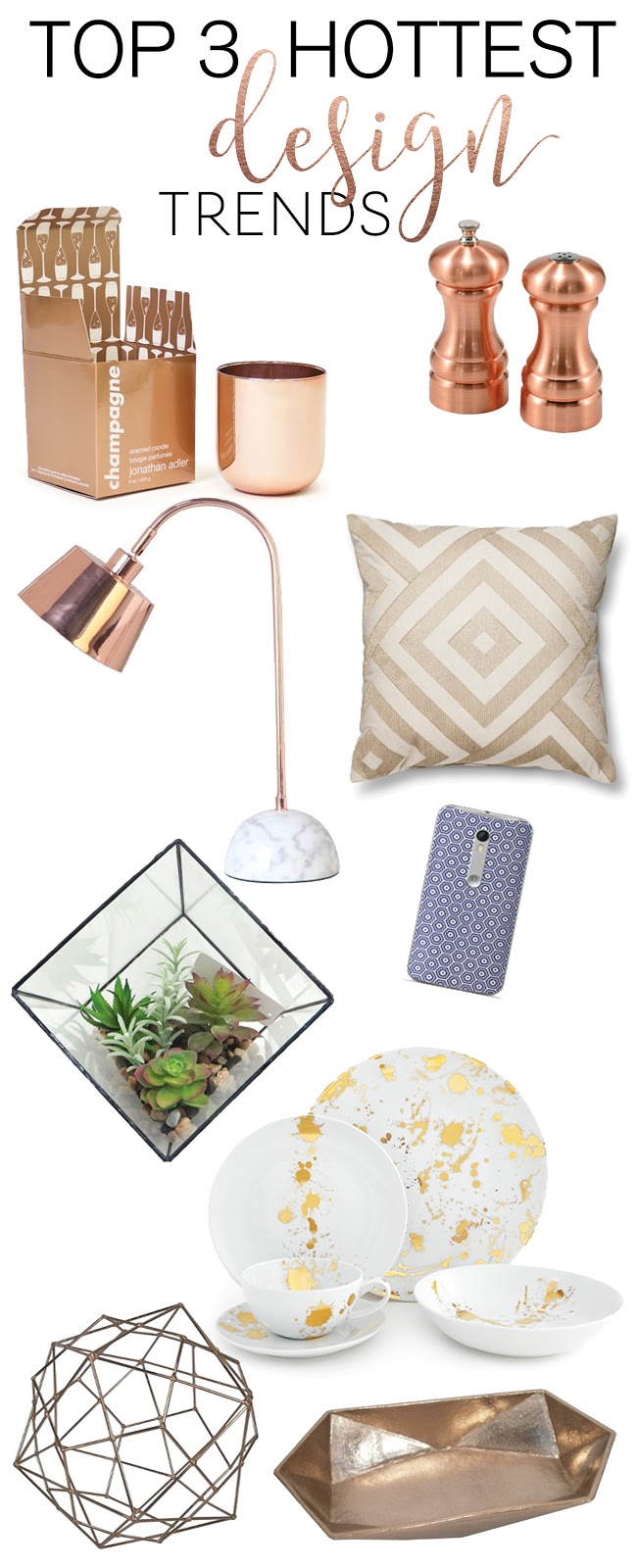 365 Designs: This Season's Top Design Trends