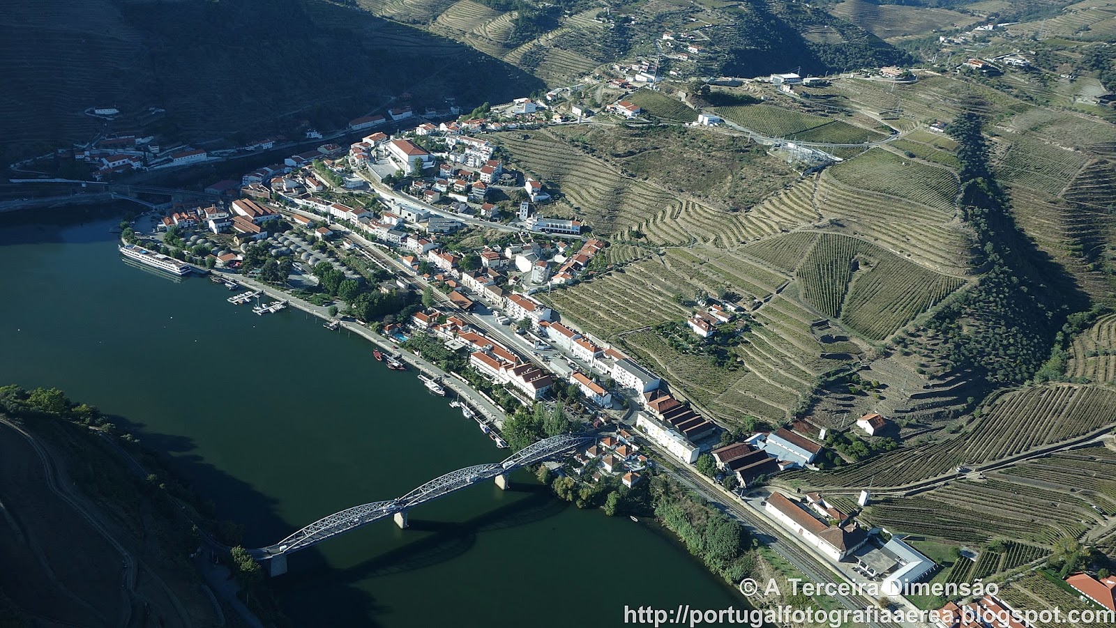 A Terceira Dimensão: Pinhão