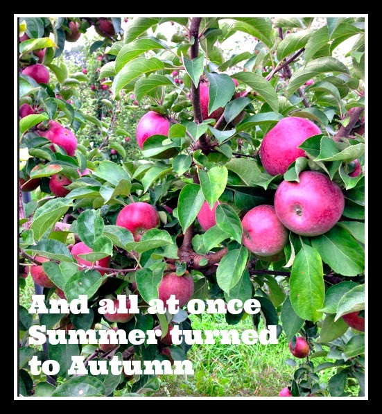 So Long September! - Coffee Cups and Lesson Plans