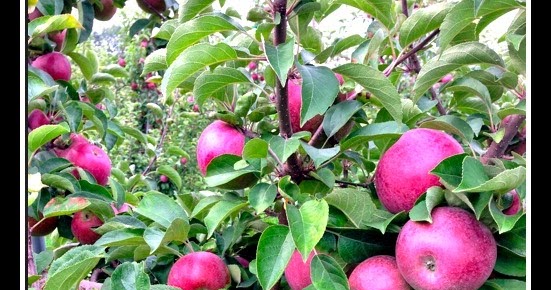 So Long September! - Coffee Cups and Lesson Plans