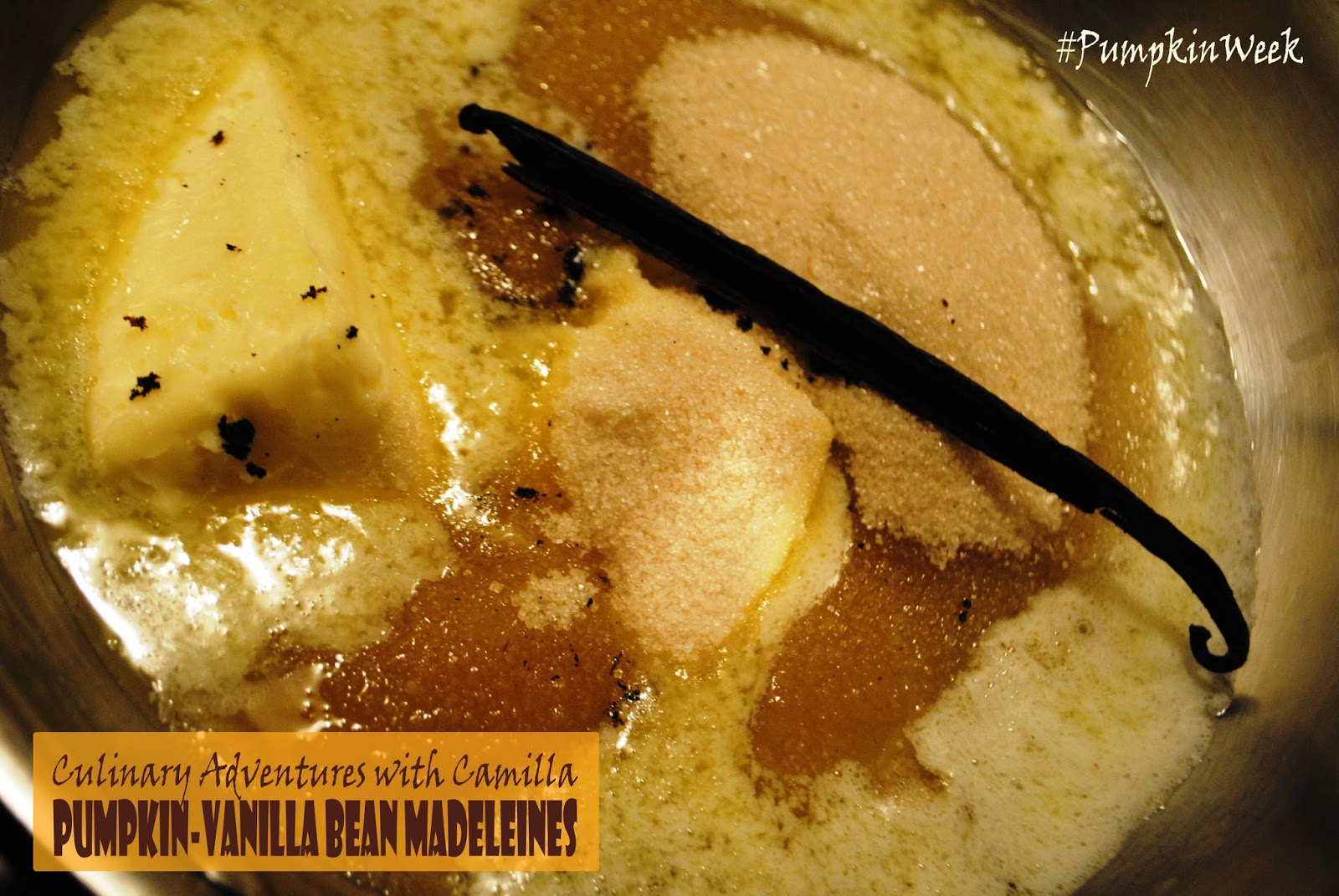 Pumpkin-Vanilla Bean Madeleines for #PumpkinWeek