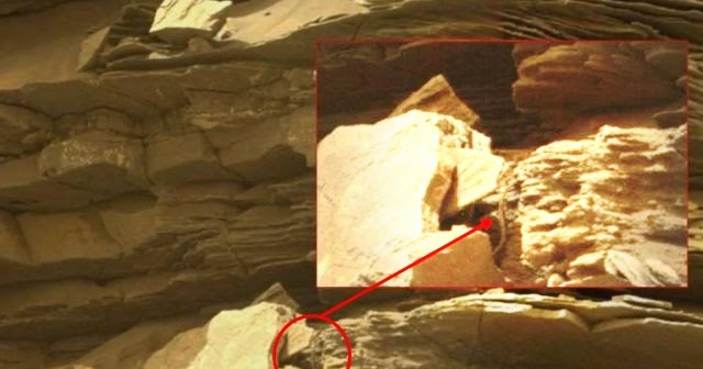 Signs of life forms on Mars hidden in plain sight