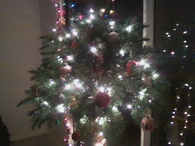 Twilighters Dream: Christmas Twi-Palm