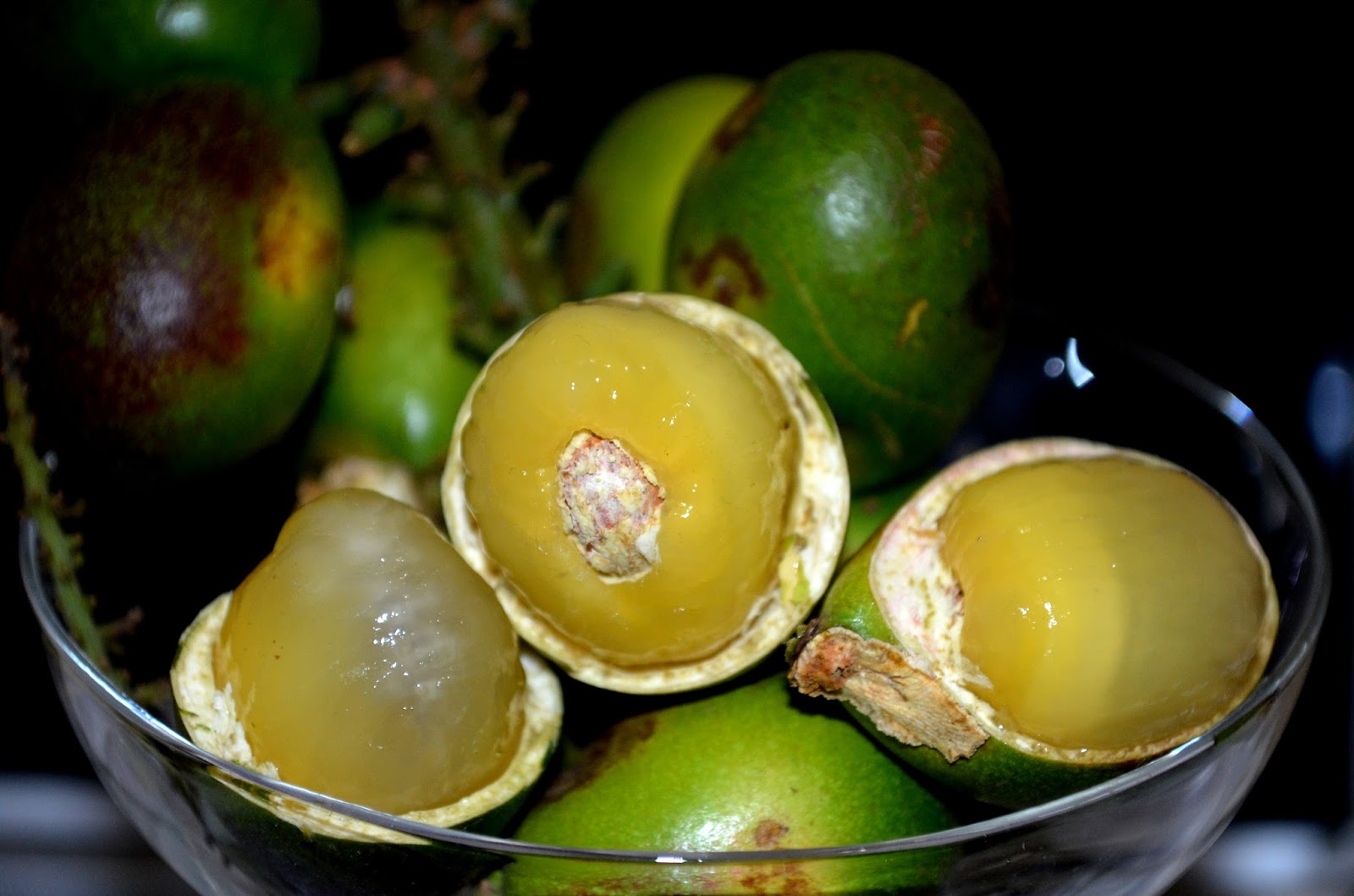 LENGKENG PAPUA YANG MEMPESONA ~ MY EXECUTIVE CHEF