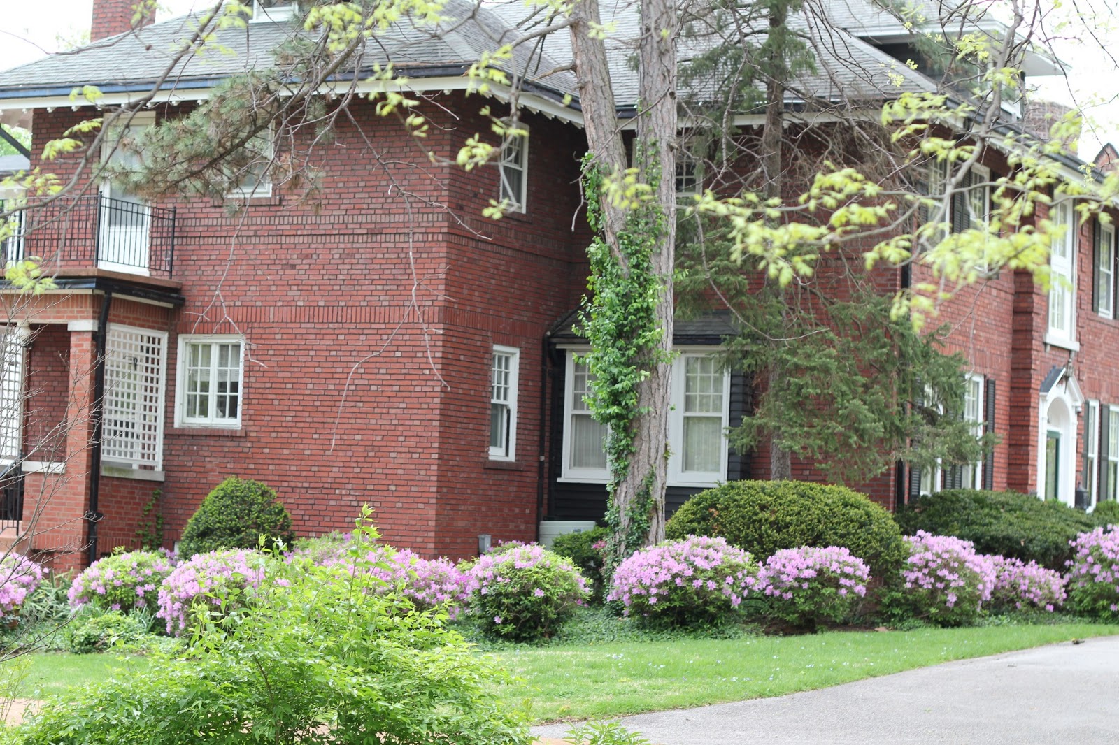 Musings: St. Louis Spring Garden Walk