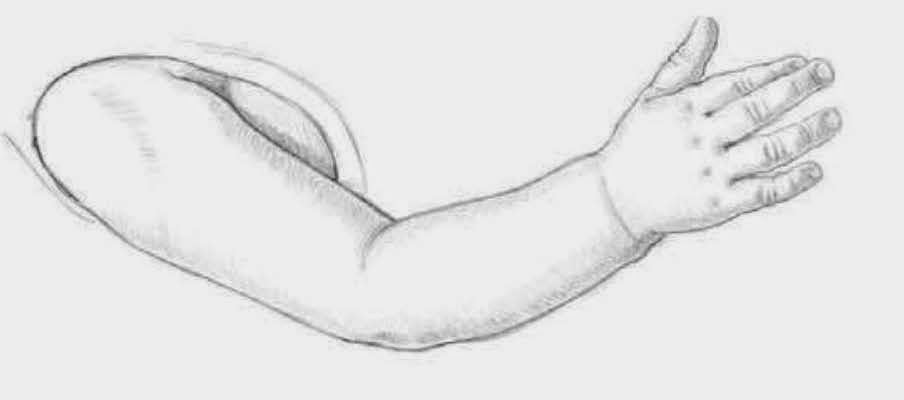 Drawings: CHILDREN'S BODY PROPORTIONS