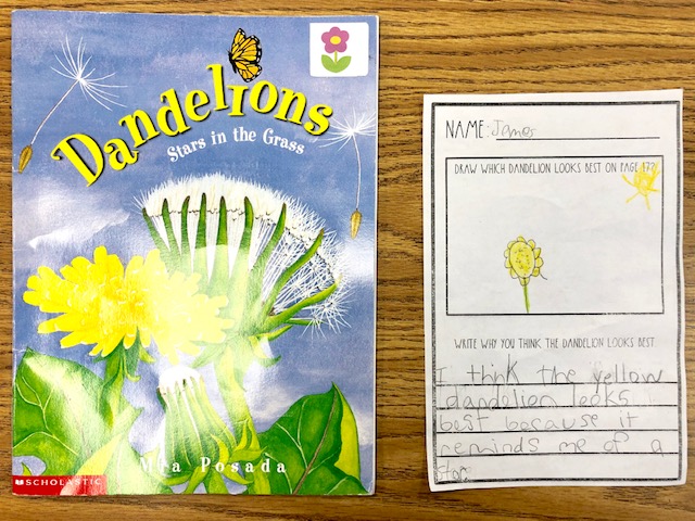 Primary Graffiti: Informational Writing