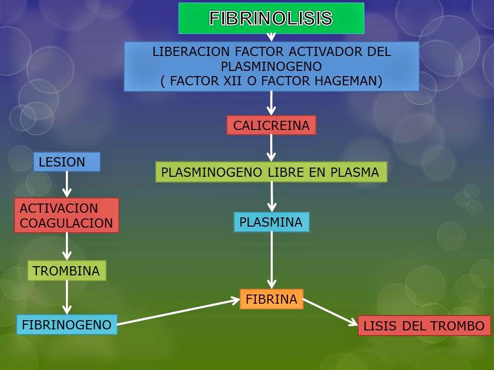 Blog de Fisiología Básica de Osel Alonso García Angulo: febrero 2014