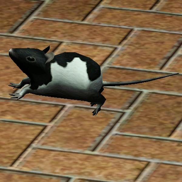 Simming in Magnificent Style: Rat ** Animated