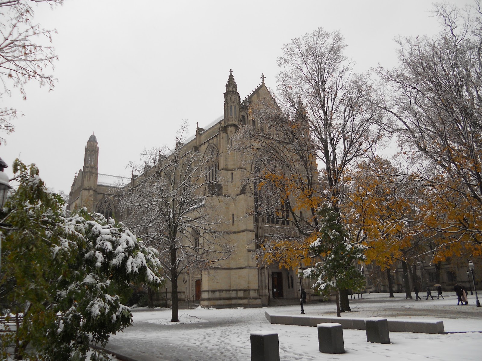 Nature Photography: First Snow at Princeton