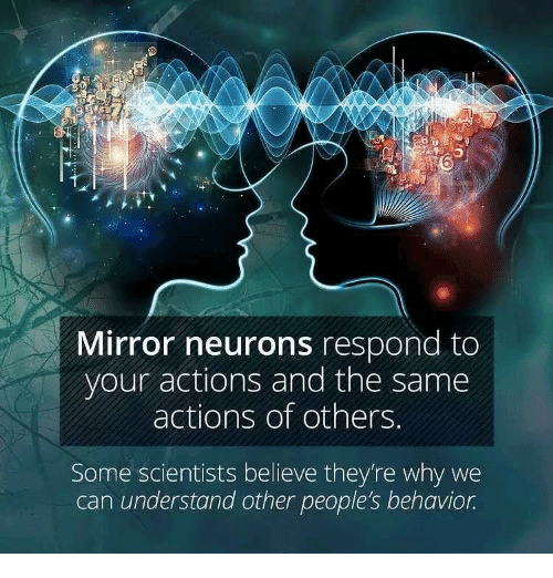 Choose your friends wisely- Your Mirror Neurons are depending on you ...