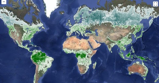 Maps Mania: Global Forests & Tree Heights
