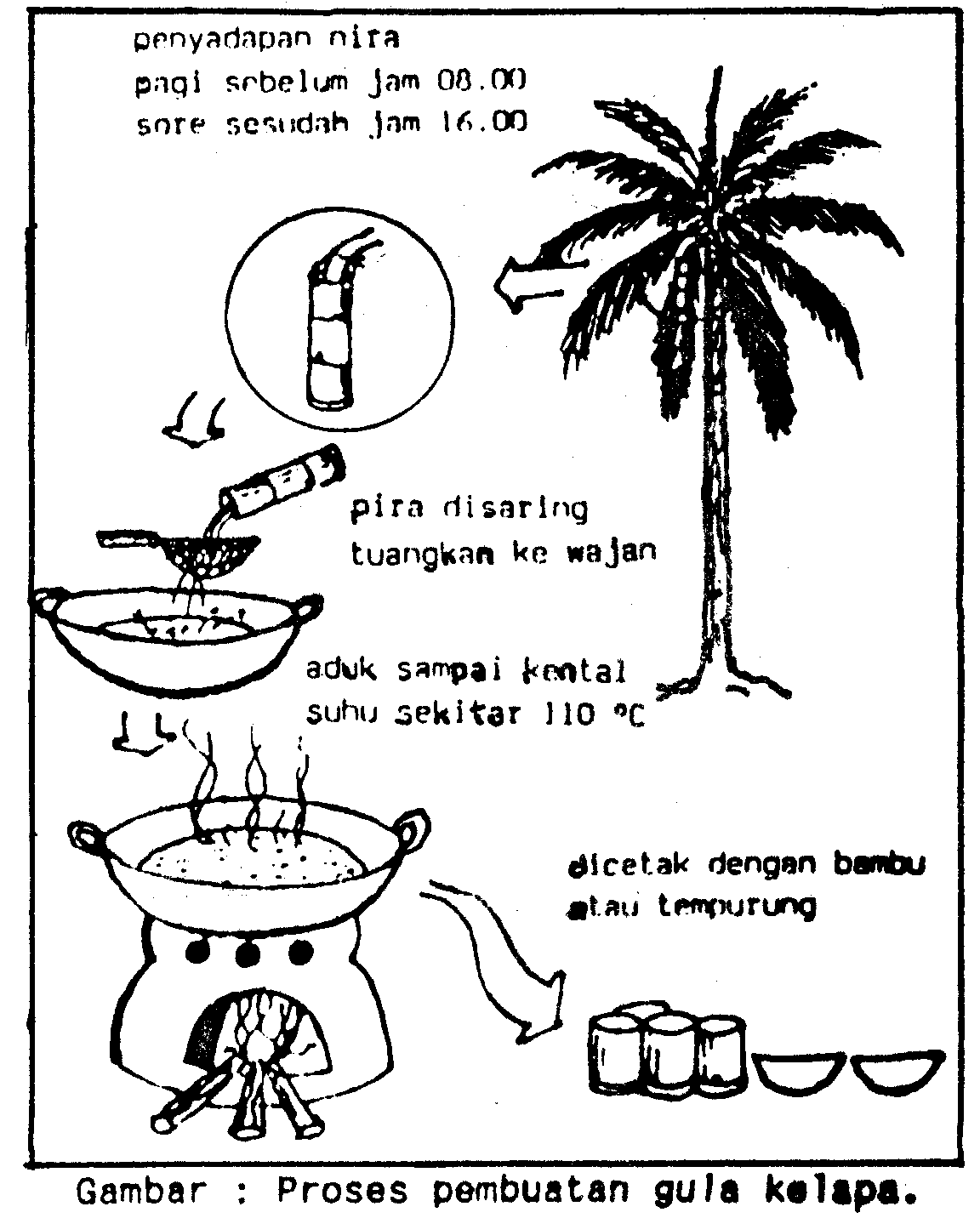 belajar di internet: PEMBUATAN GULA DARI BUAH KELAPA