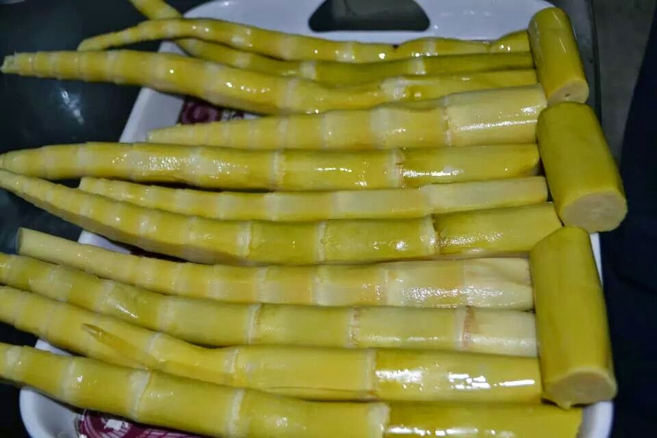 BULUH REBUNG MADU - PUSAT SEMAIAN AHLI PELADANG KAW PT PENYENGAT, MUAR ...