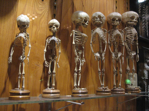 FUN TO BE BAD: Weirdest Museum in the World....The Mutter - Philadelphia