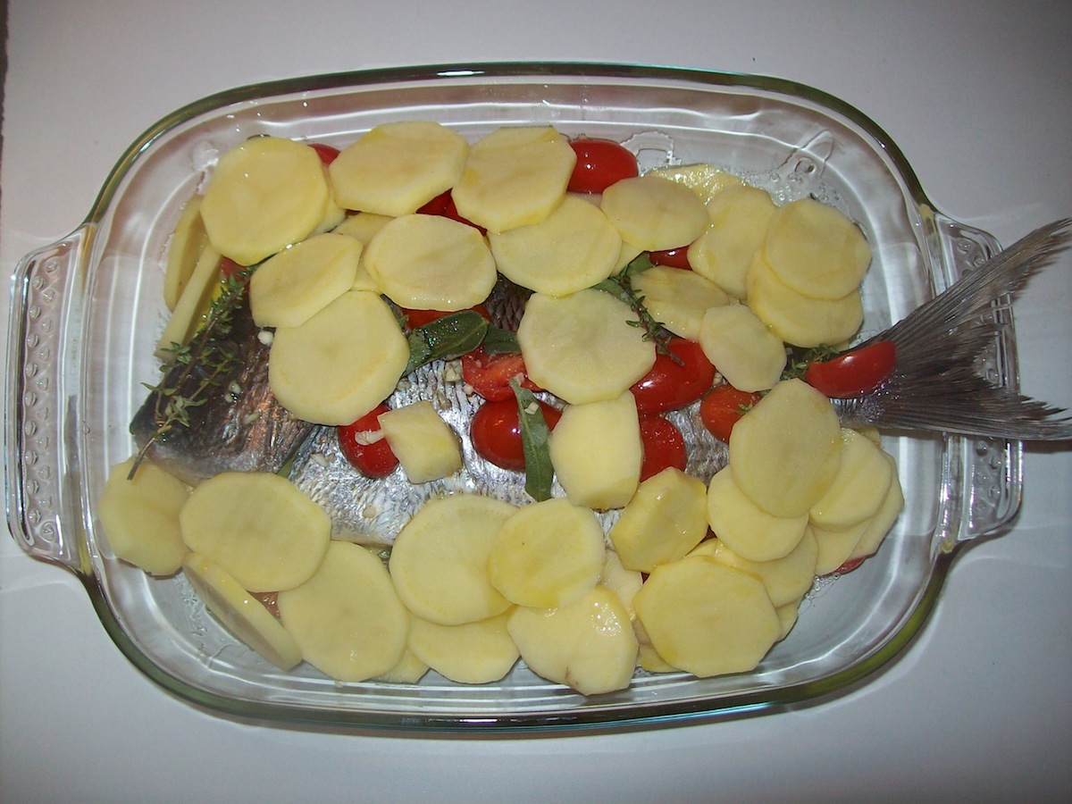 Il sarago è un pesce di lago?