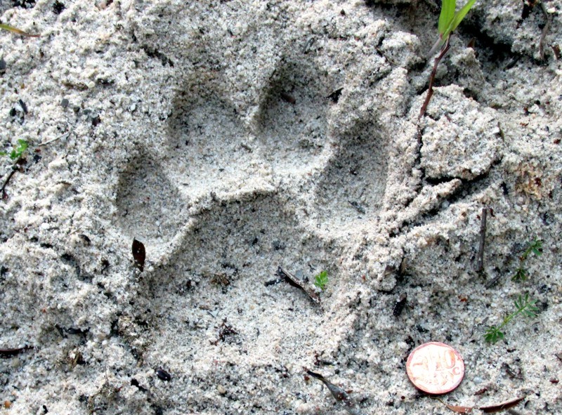 Hike the Cederberg: the Map: 2013