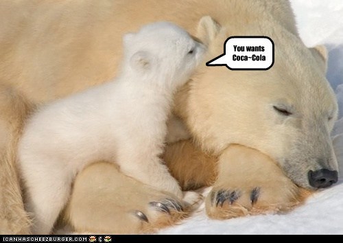 Thinking Pink: Top Five LOL Animals of the Day