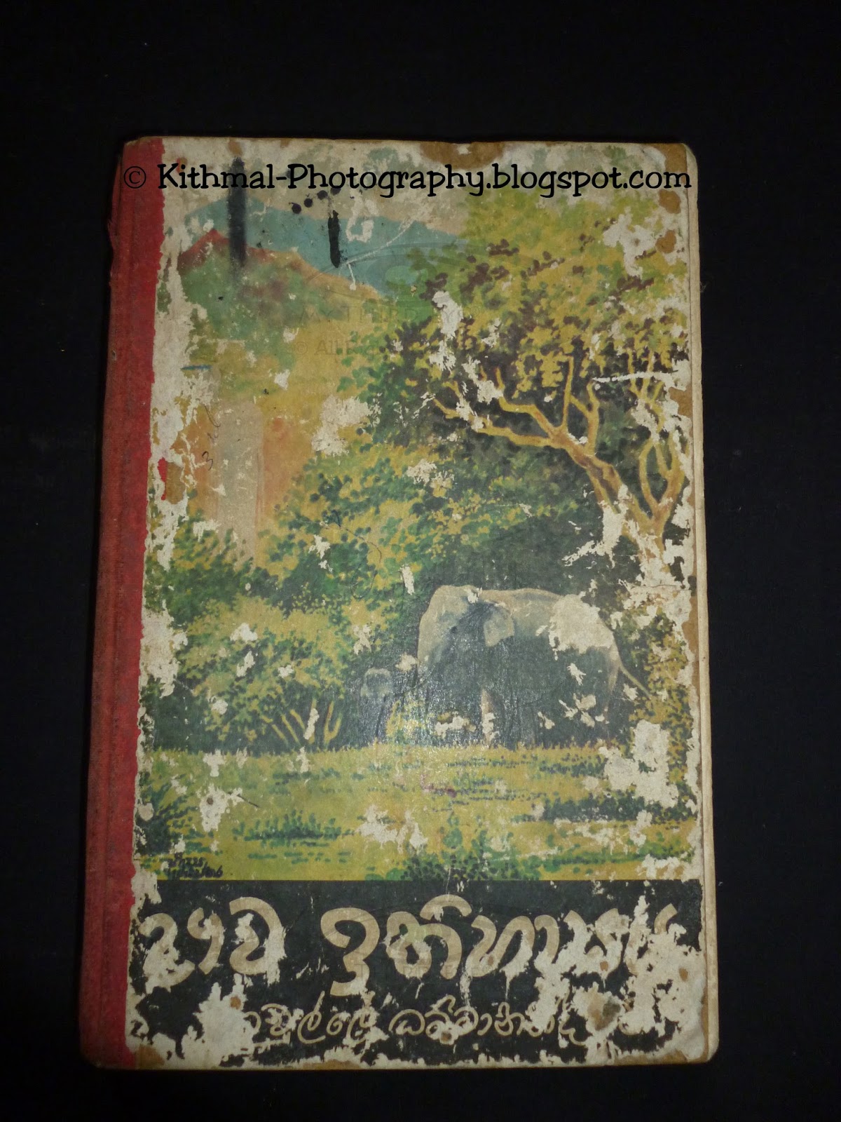 Beyond Through The Lens: Halangoda Lake (Elle Wewa)