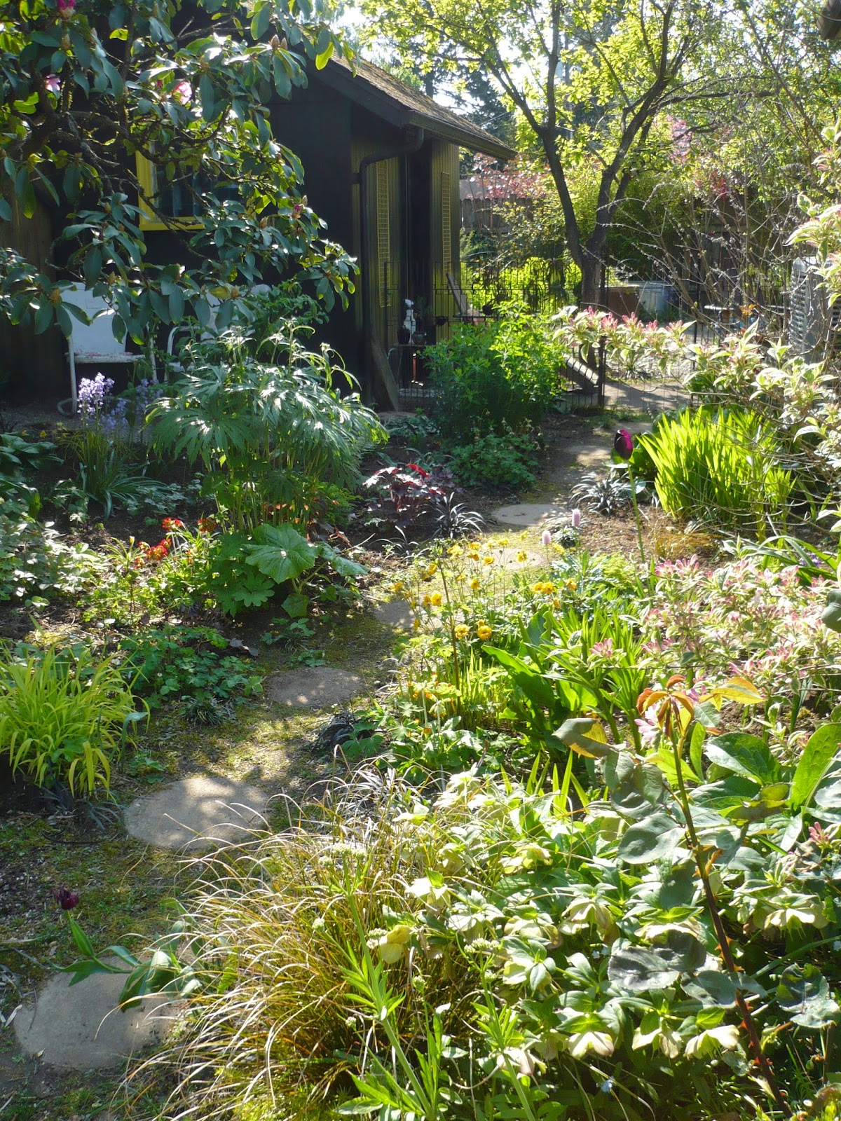 Whatsitgarden: A shady seating area…