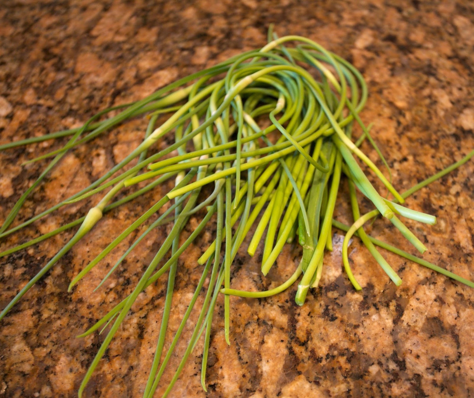Garlic Scapes