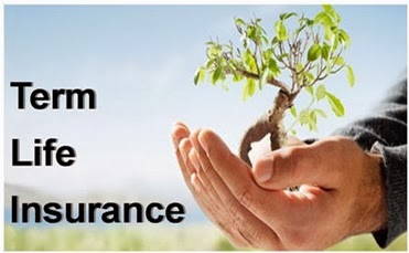 TRADITIONAL LIFE INSURANCE POLICIES | General Knowledge