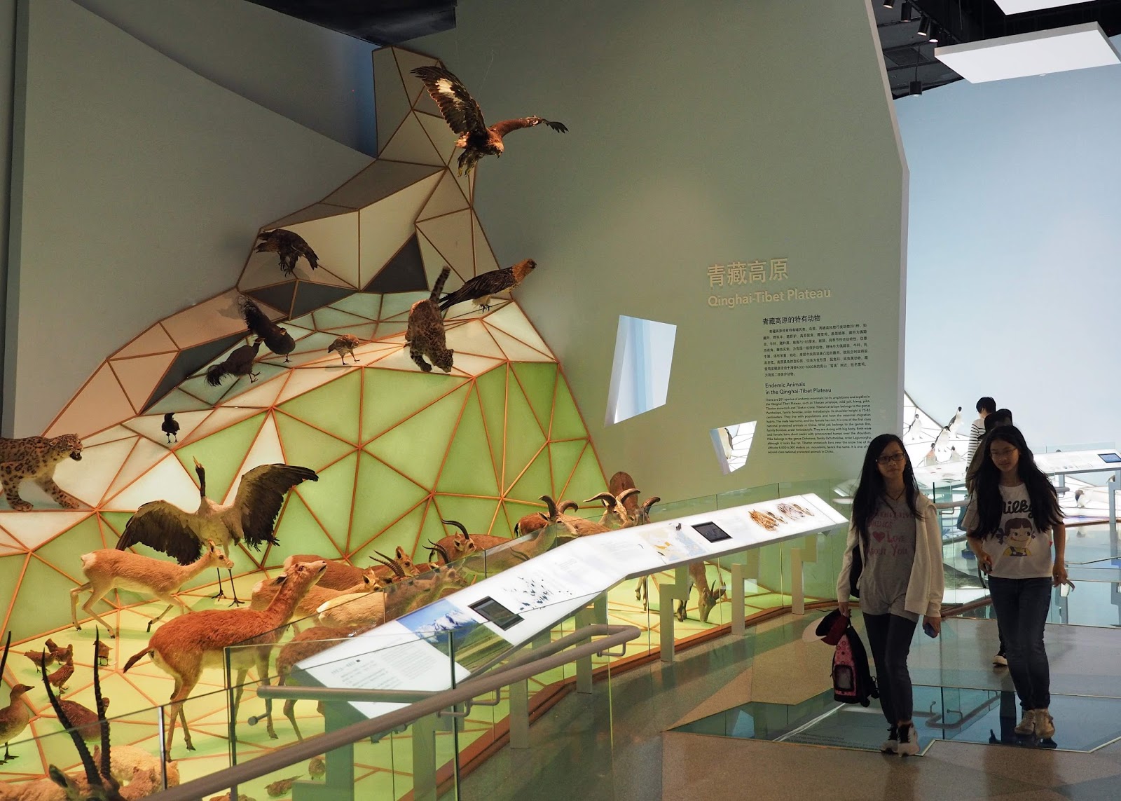 Shanghai 2015 - Shanghai Natural History Museum