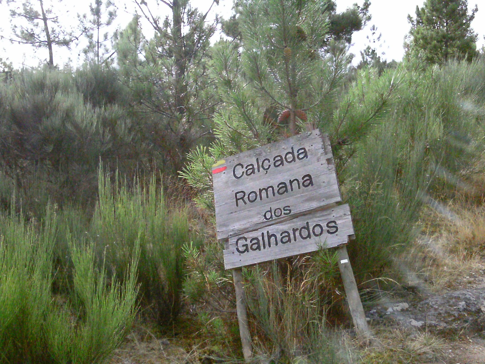 Toupeira: Subida interminável e descoberta de novos sabores em Folgosinho