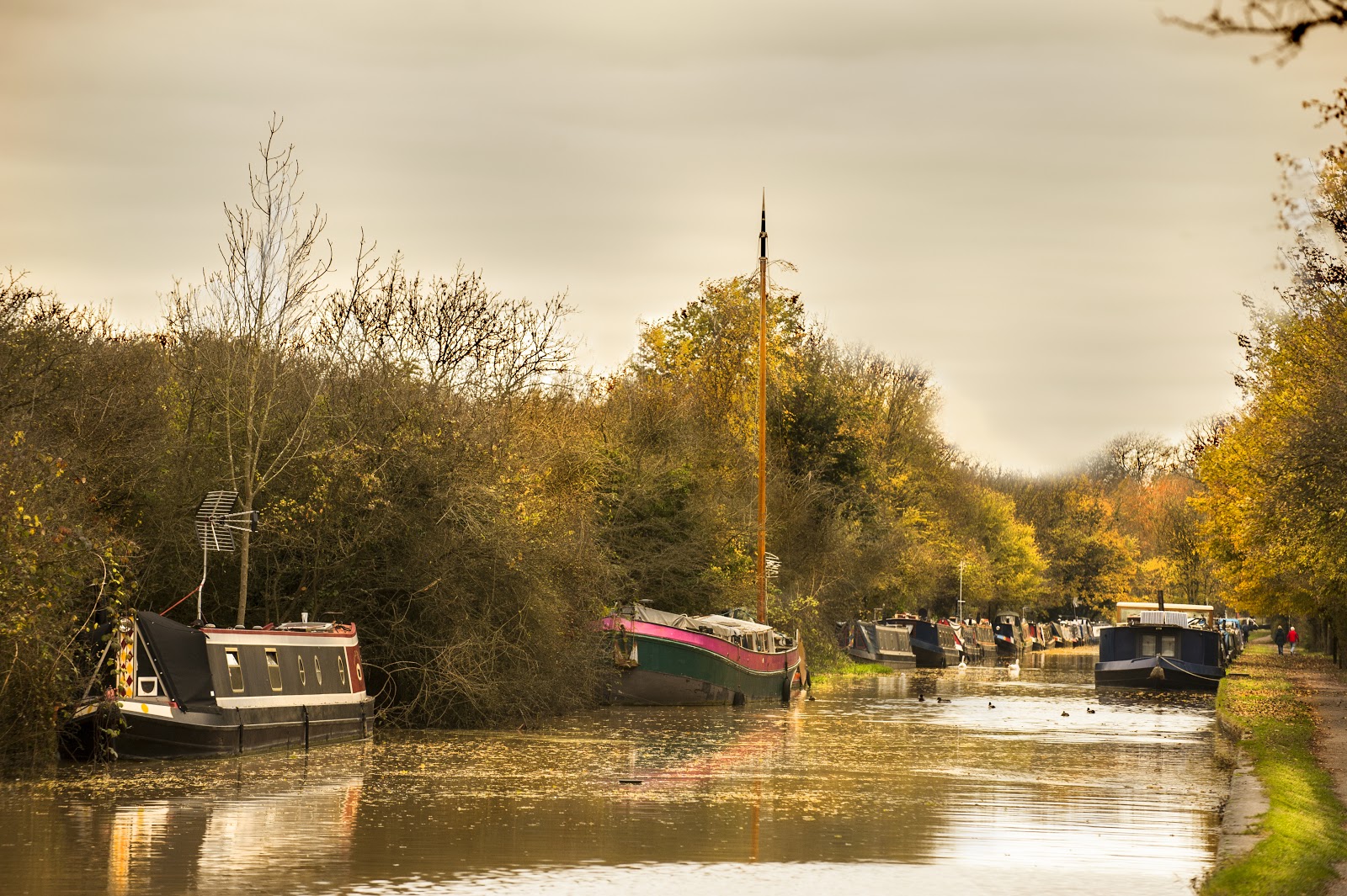 Eternity Images Photography: The Grand Union Canal in Autumn.