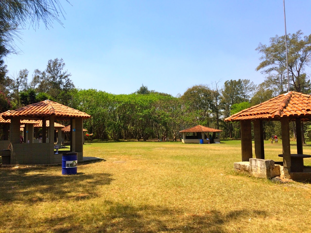 Parque Ecológico de Barueri (ex-Parque Ecológico do Tietê - Núcleo Ilha ...
